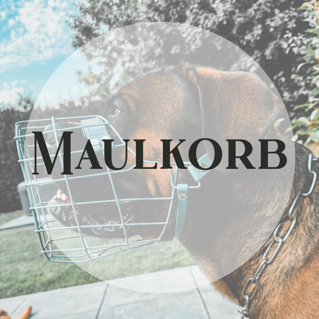 Maulkörbe & Zubehör für Hunde – handgefertigt & bequem